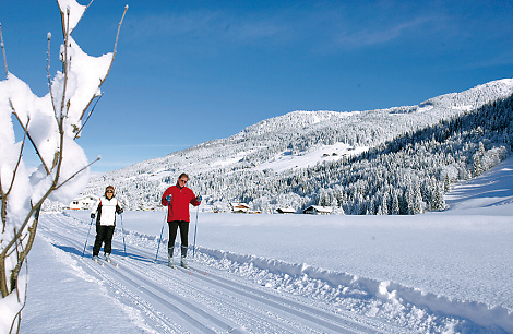Národní park Šumava | Cyklotoulky